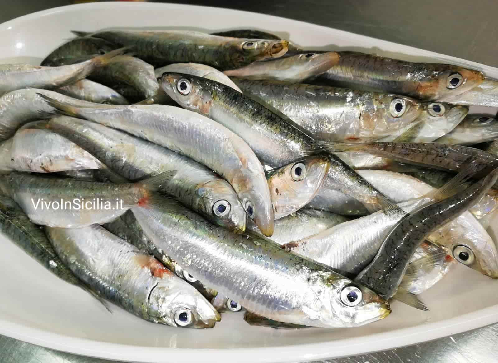 Pasta con le sarde, la famosa ricetta siciliana - VivoInSicilia.it